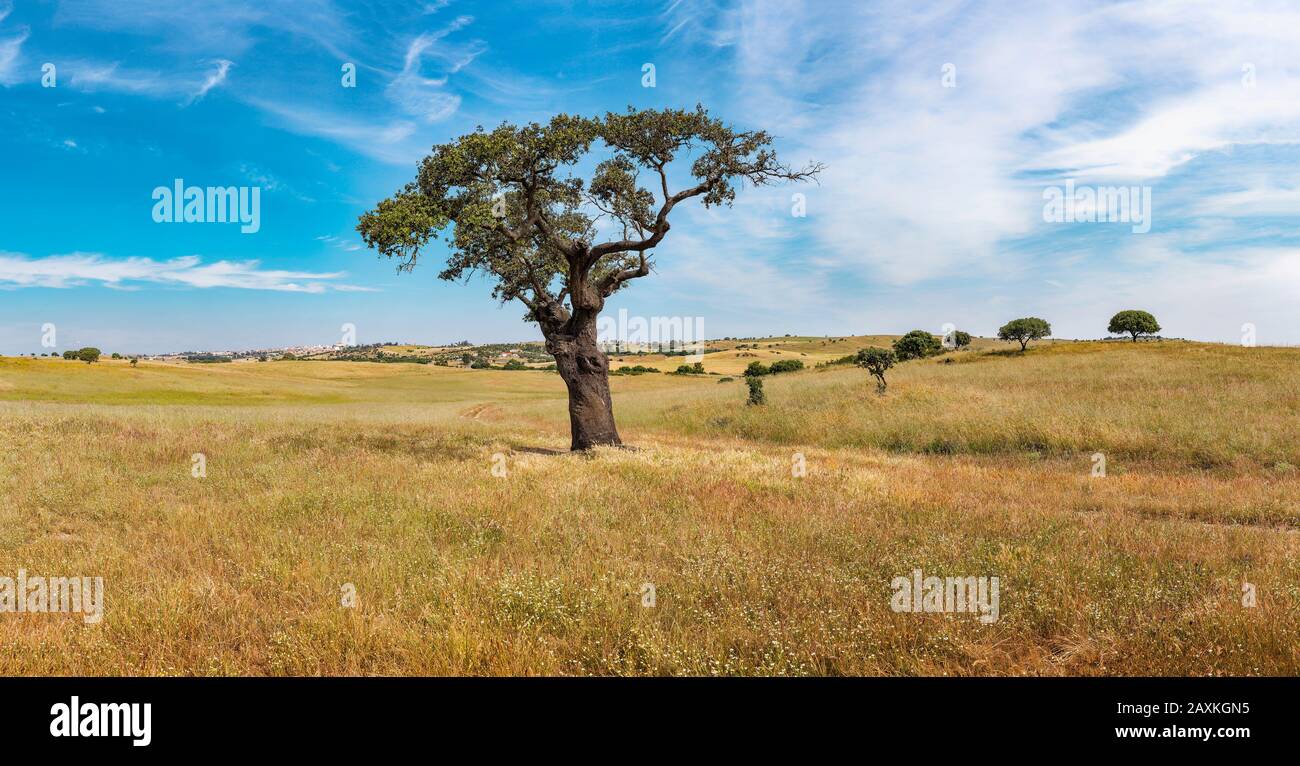 Roling landscape hi-res stock photography and images - Alamy