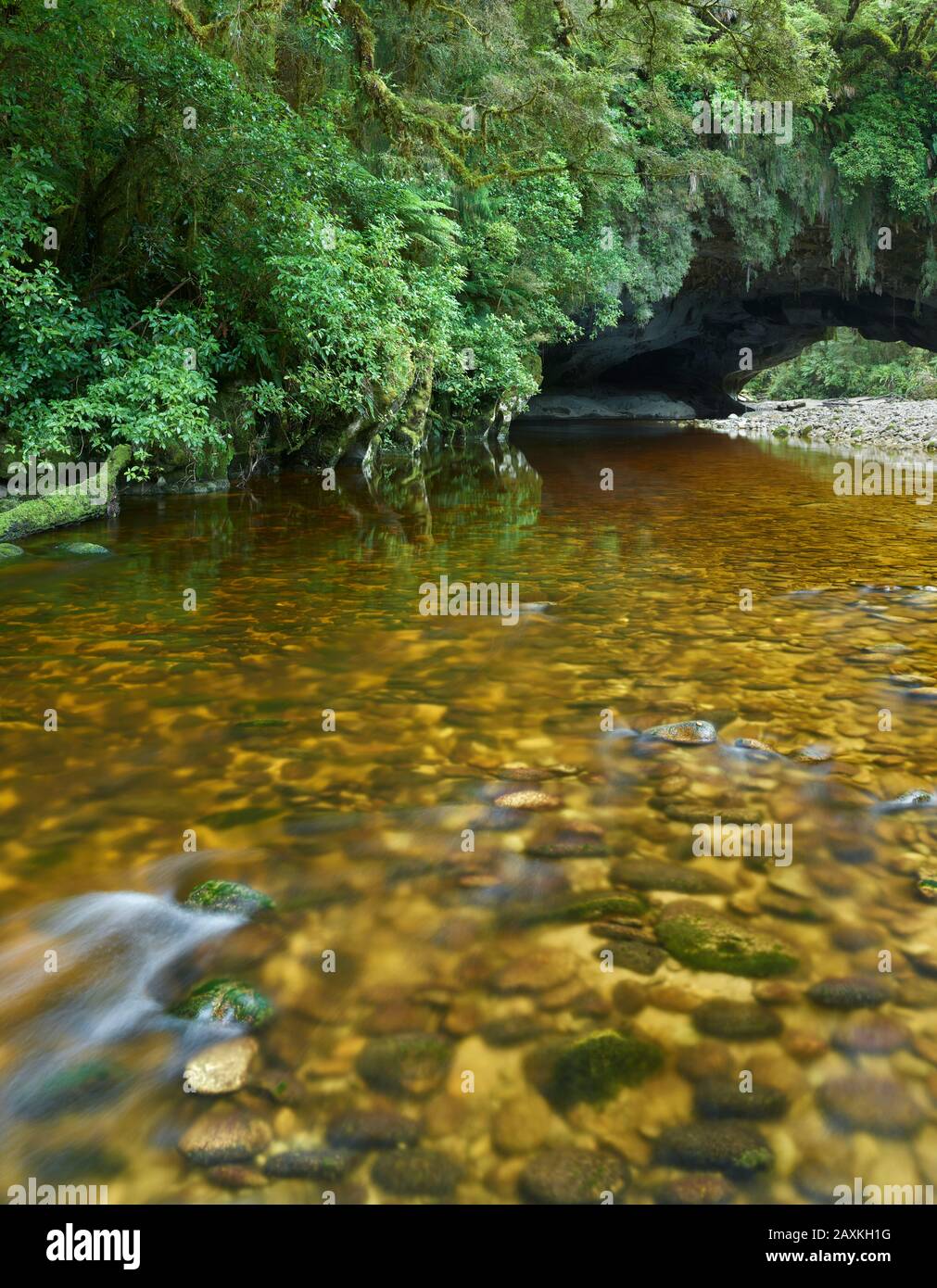 Moria Gate Arch, Oparara Basin, Kahurangi National Park, West Coast ...