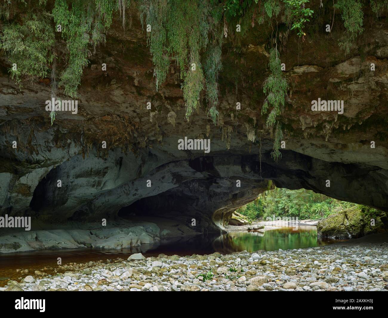 Moria Gate Arch, Oparara Basin, Kahurangi National Park, West Coast ...