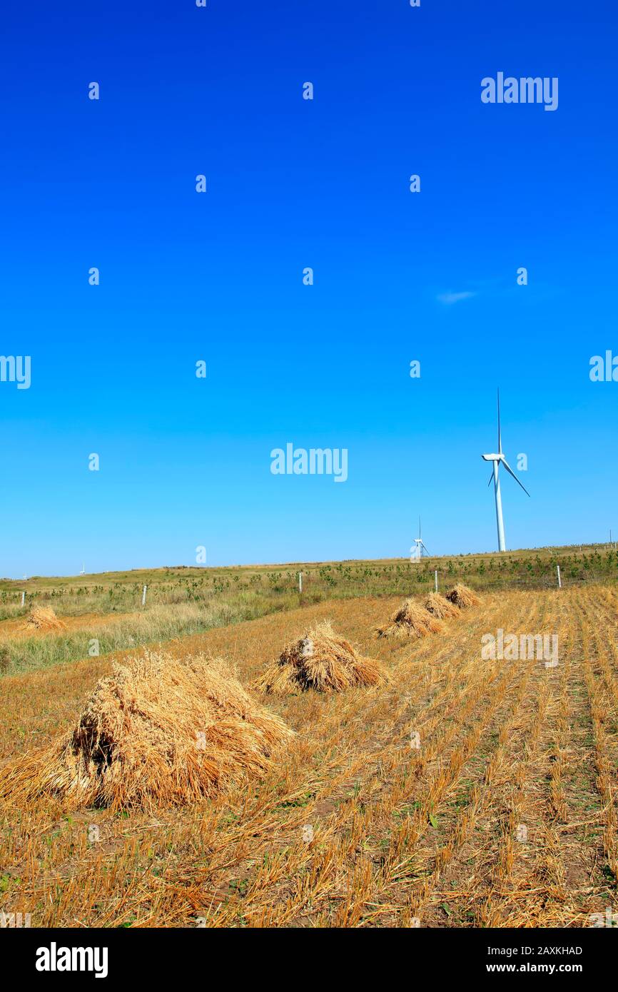 Autumn terraces and wind turbines Stock Photo - Alamy