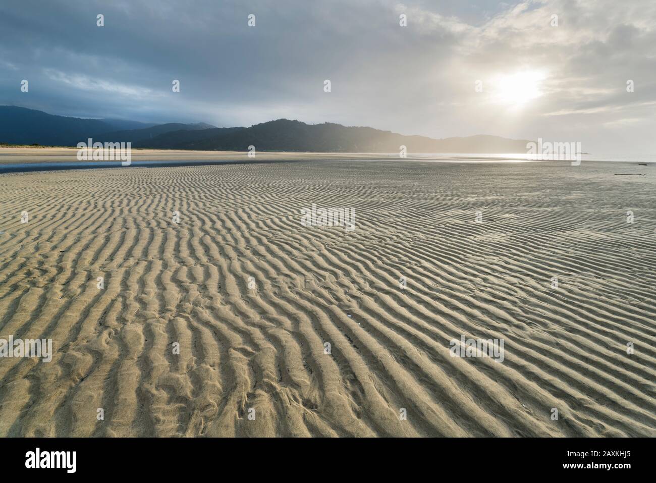 Wainui Inlet, Tasman, South Island, New Zealand, Oceania Stock Photo ...