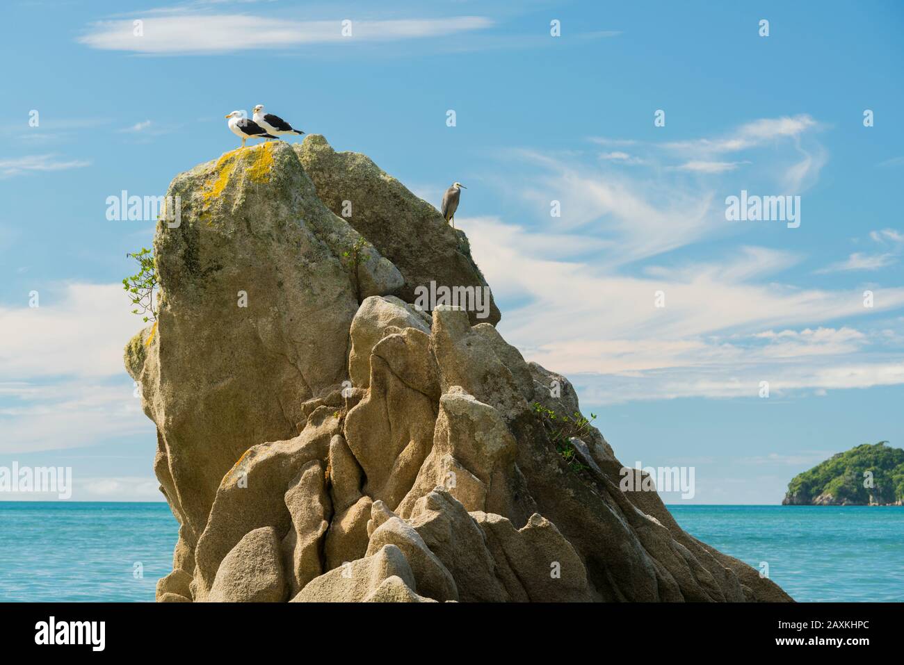 Wainui Inlet, Abel Tasman National Park, Tasman, South Island, New ...
