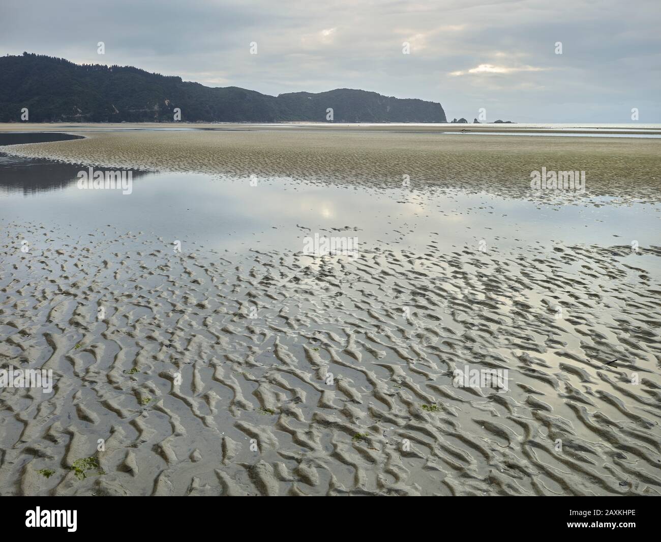 Wainui inlet hi-res stock photography and images - Alamy
