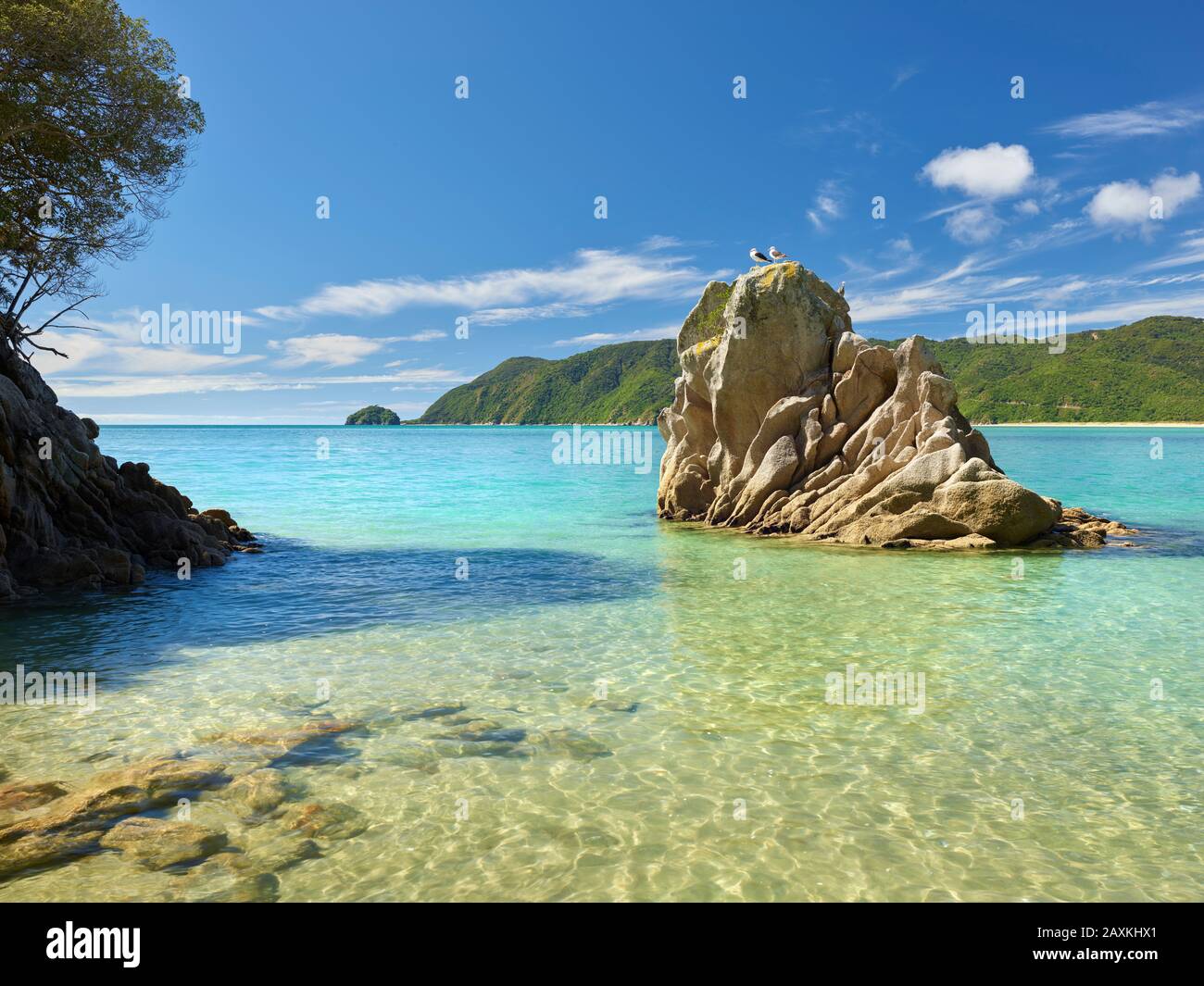 Wainui Inlet, Abel Tasman National Park, Tasman, South Island, New ...