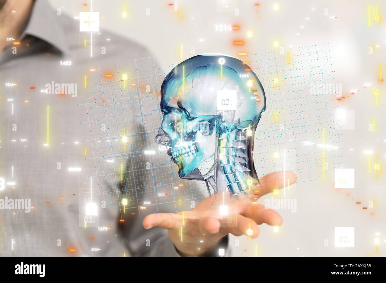 Virtual projection of a human skull - medical network connection ...