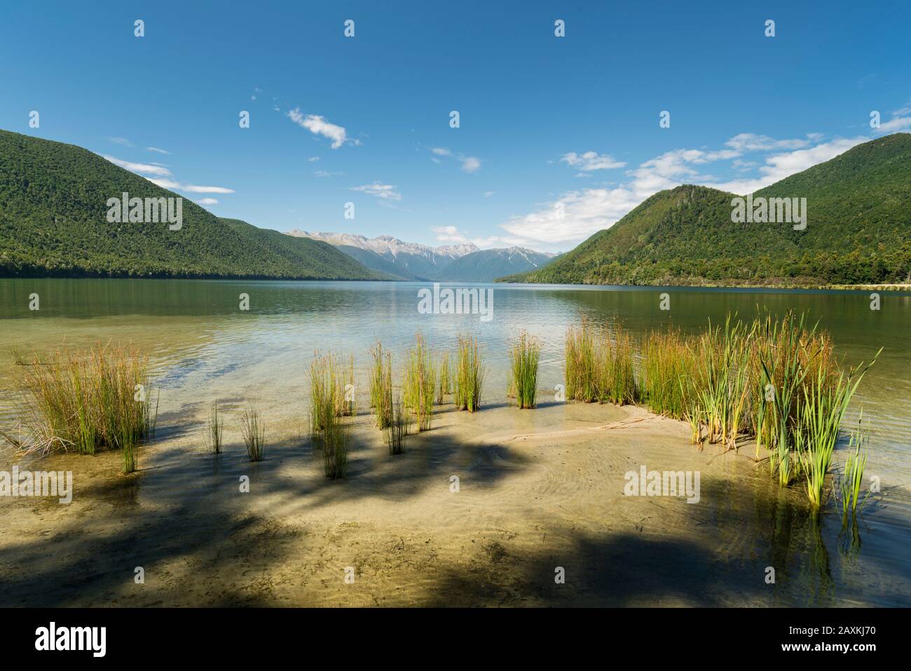 Rotoroa Lodge, Nelson Lakes National Park, Tasman, South Island, New ...