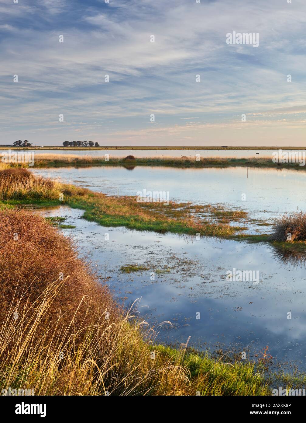 Lake Ellesmere, Canterbury, South Island, New Zealand, Oceania Stock ...