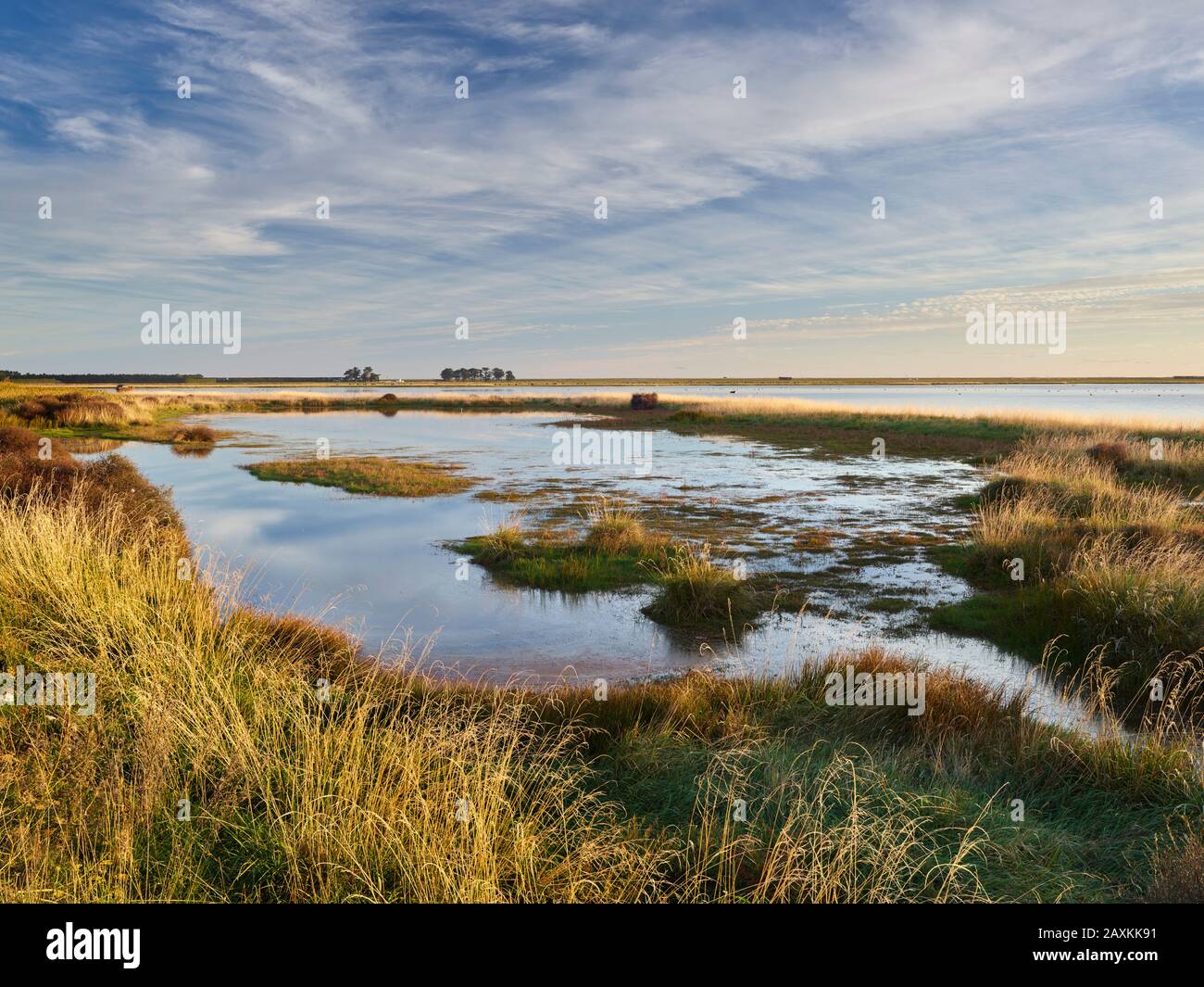 Ellesmere island hi-res stock photography and images - Alamy