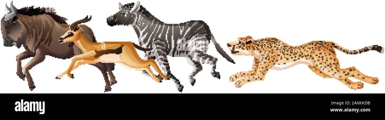 Many african animals running on white background illustration Stock ...