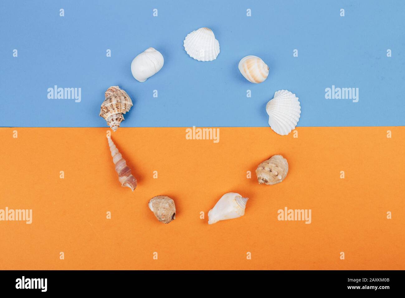 Seashell collection lying around circle shape Stock Photo - Alamy