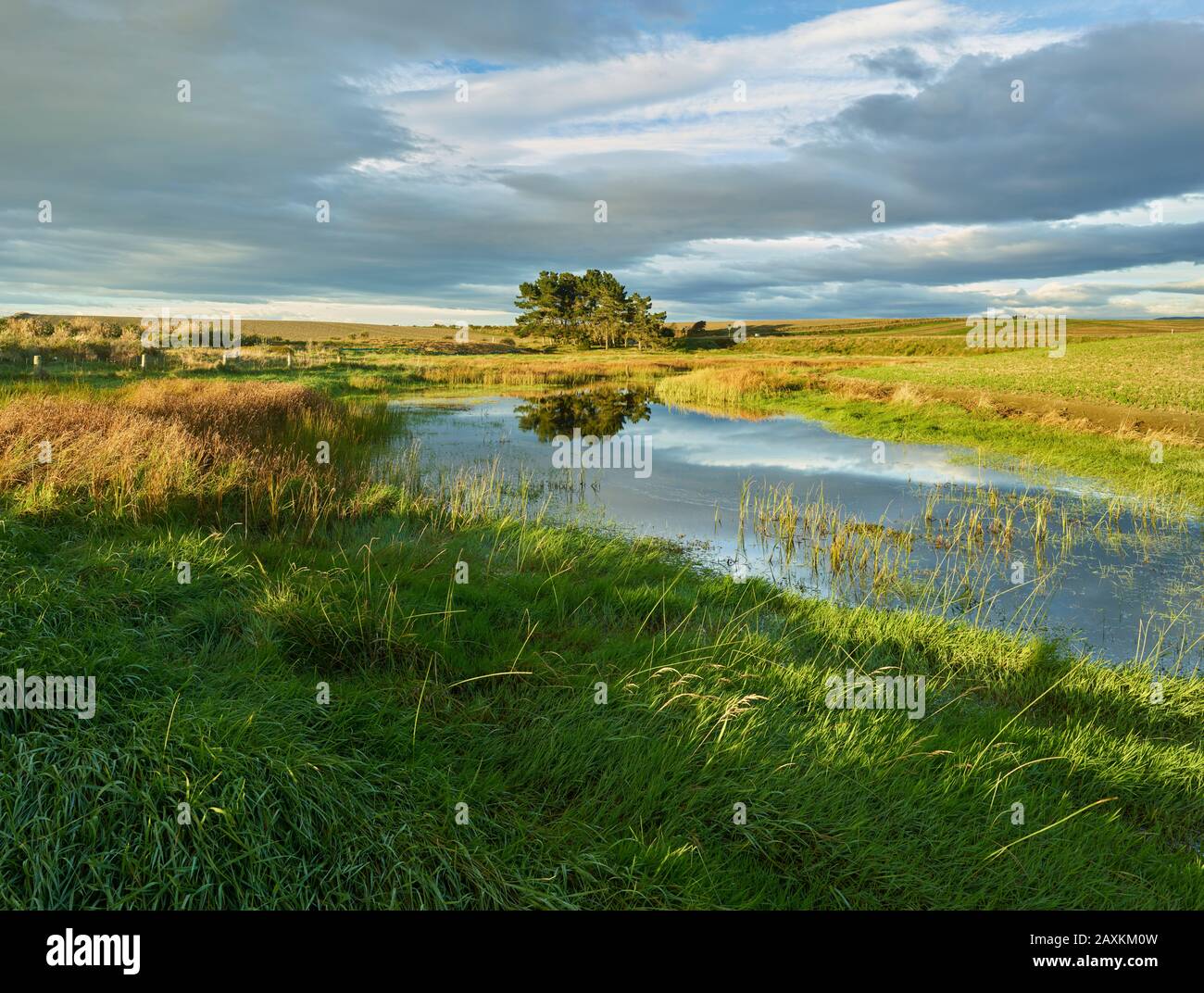 Timaru new zealand hi-res stock photography and images - Alamy