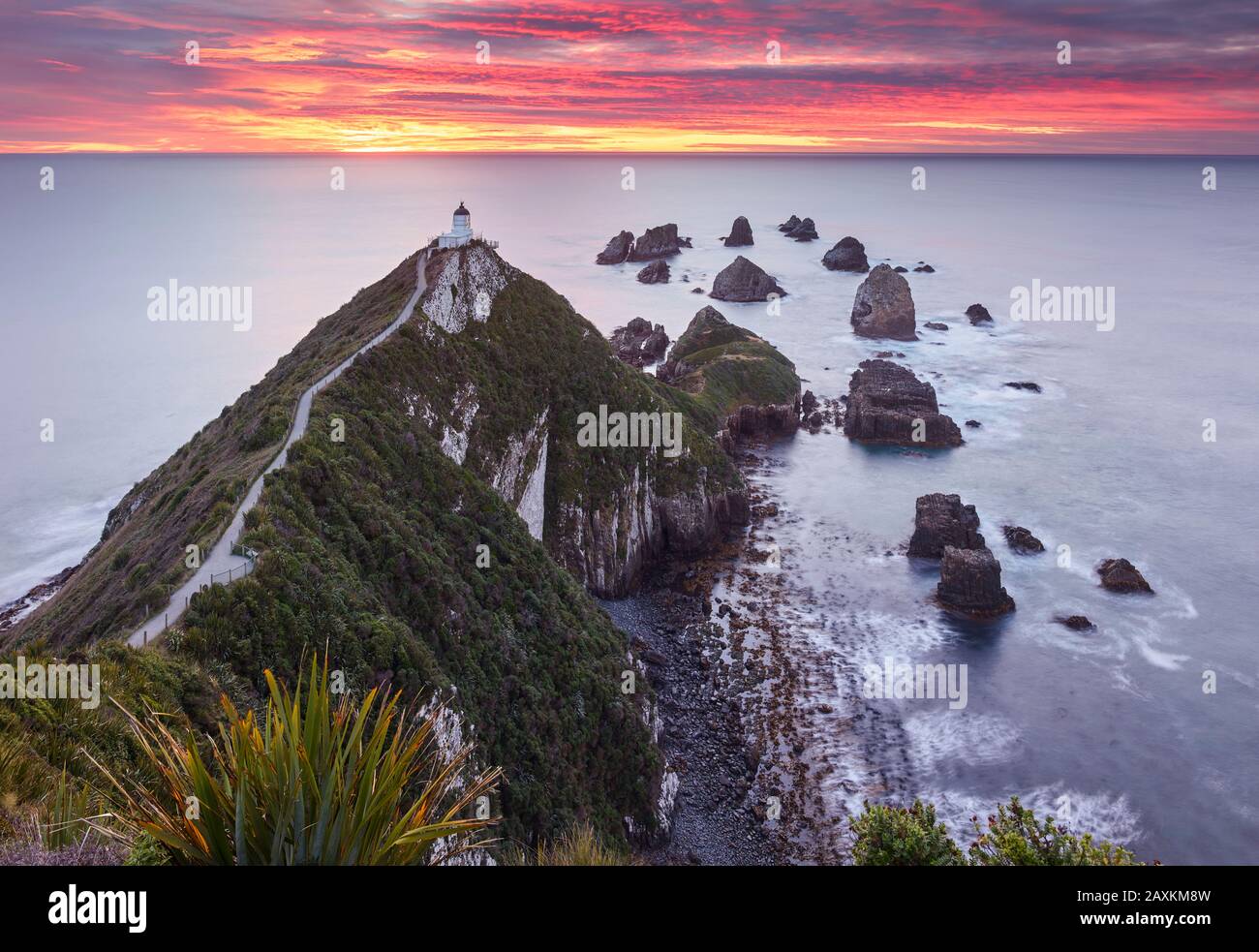 Nugget Point Lighthouse, Otago, South Island, New Zealand, Oceania ...