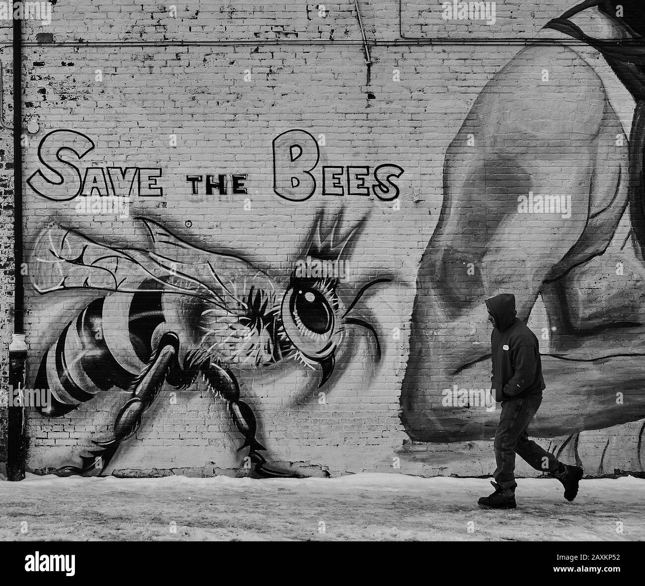Bee mural hi-res stock photography and images - Alamy