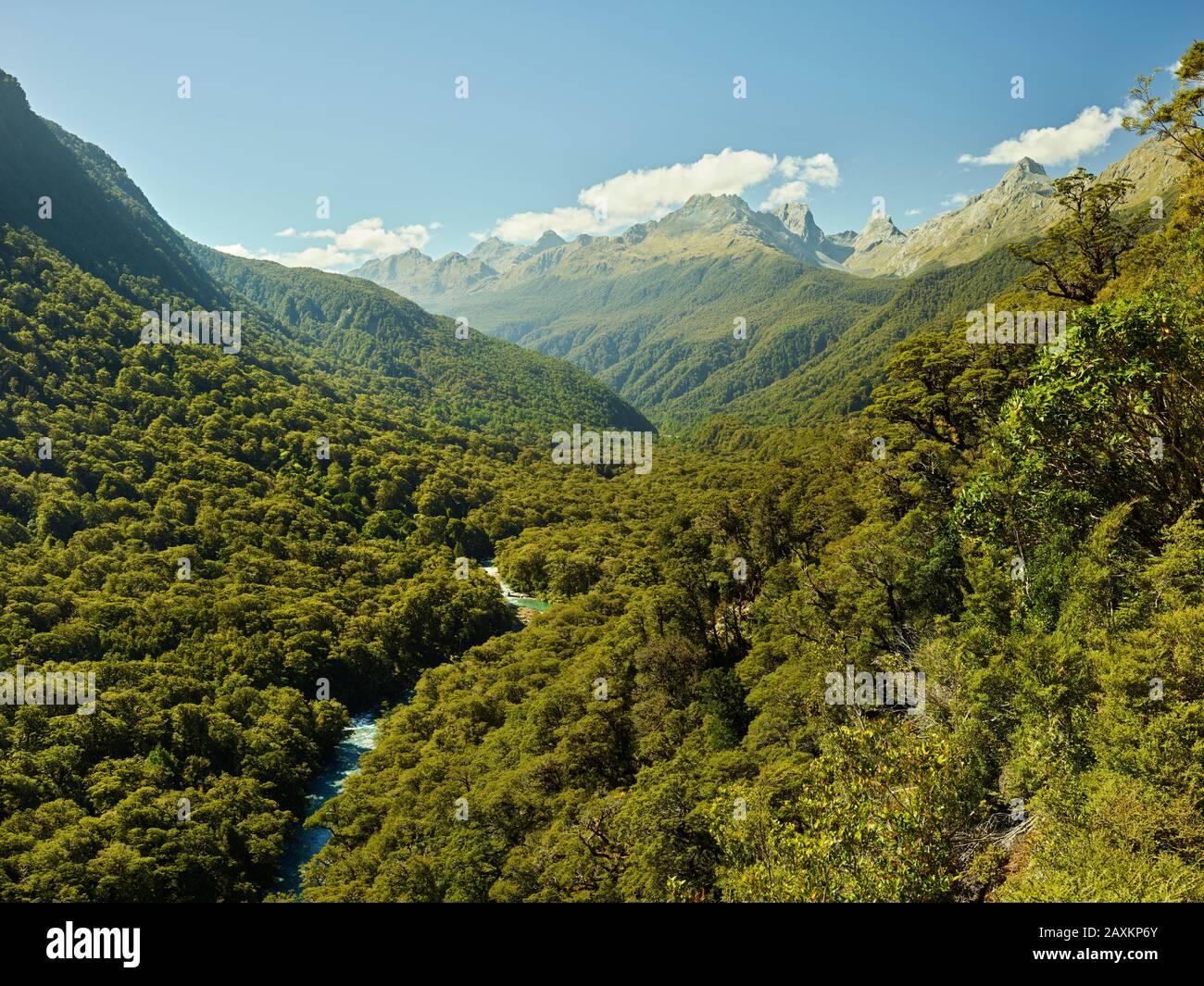 Hollyford Valley Lookout, Fiordland National Park, Southland, South ...