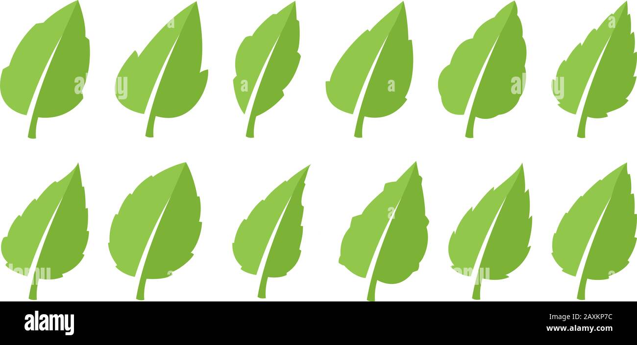 Green leaf set Stock Vector Image & Art - Alamy