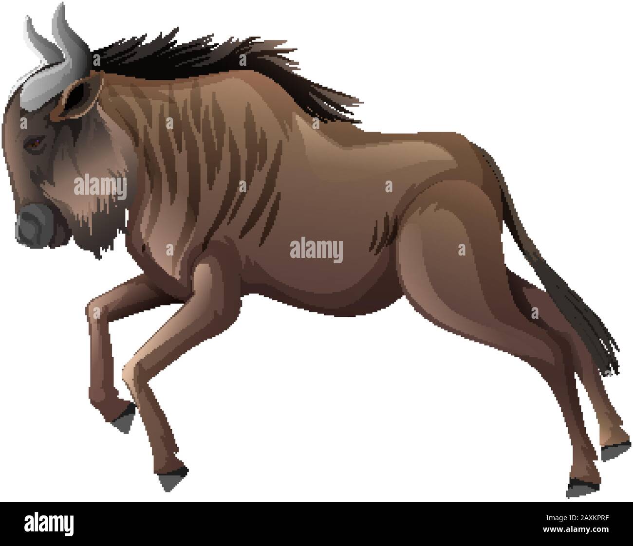 African buffalo running on white background illustration Stock Vector ...