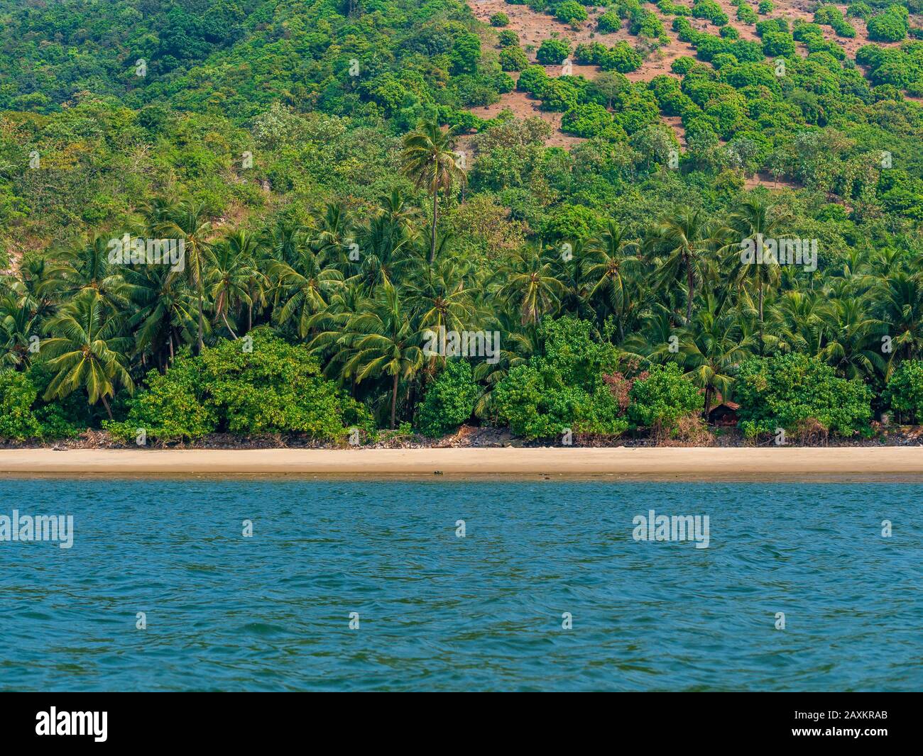 Landscape of Indian Ocean from Tarkarli Beach with blue water and green ...