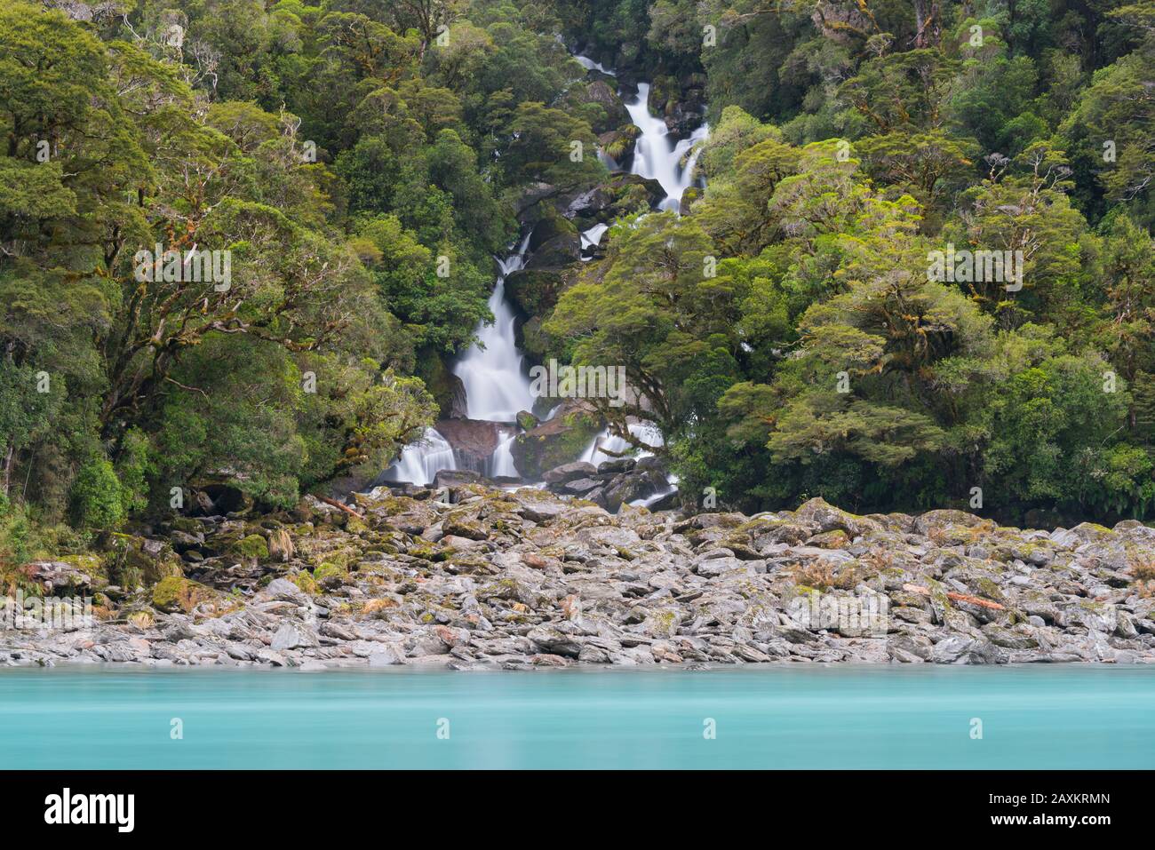 Roaring Billy Falls, West Coast, South Island, New Zealand, Oceania ...