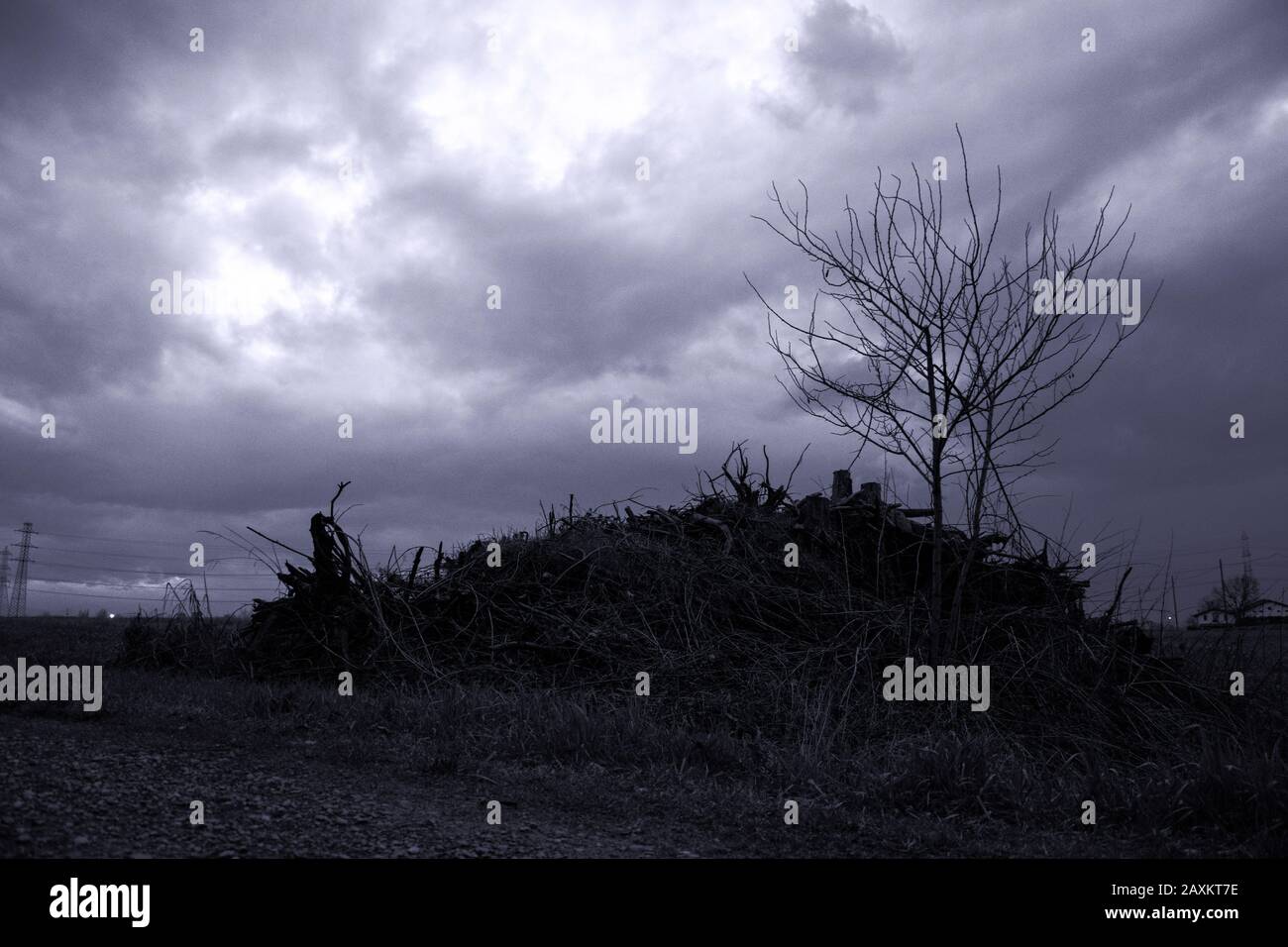 Dramatic sky with clouds and a bare tree in a strange field Stock Photo ...