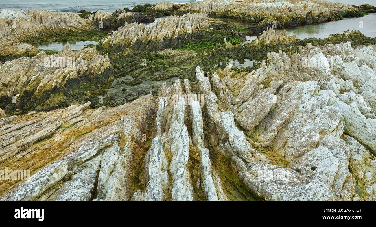 Rock formations on the Kaikoura Peninsula, Canterbury, South Island ...