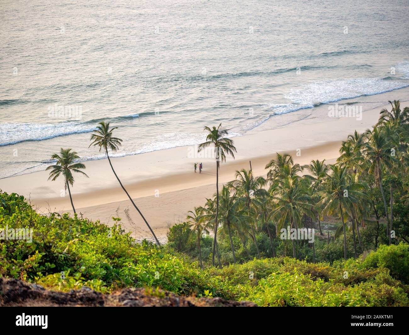 Beautiful landscape of indian ocean with coconut trees and clean beach ...