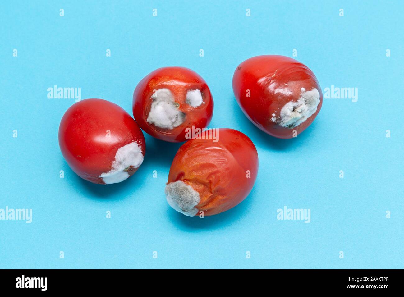 Contamination of food hi-res stock photography and images - Alamy