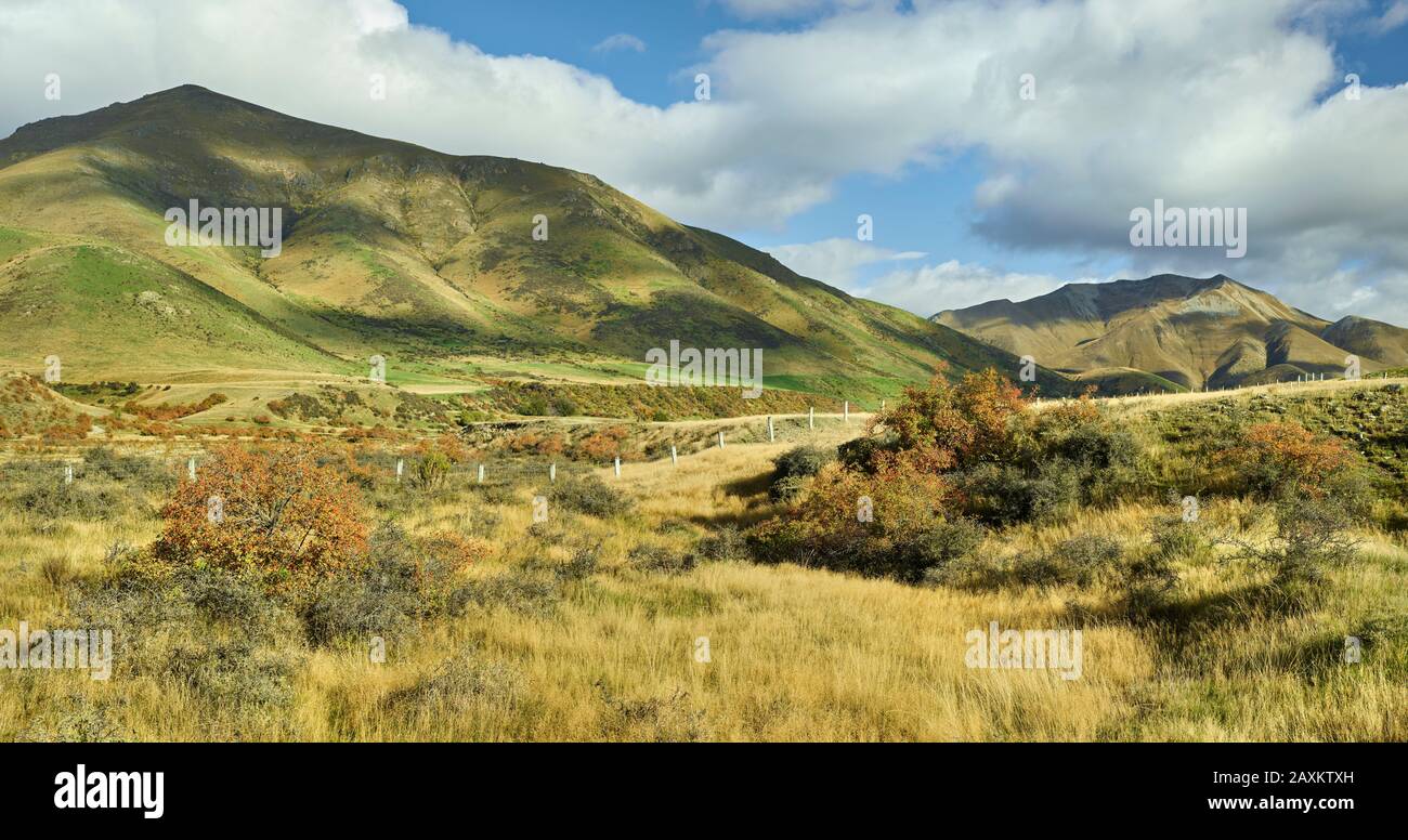 Ahuriri Valley, Barrier Range, Canterbury, South Island, New Zealand ...