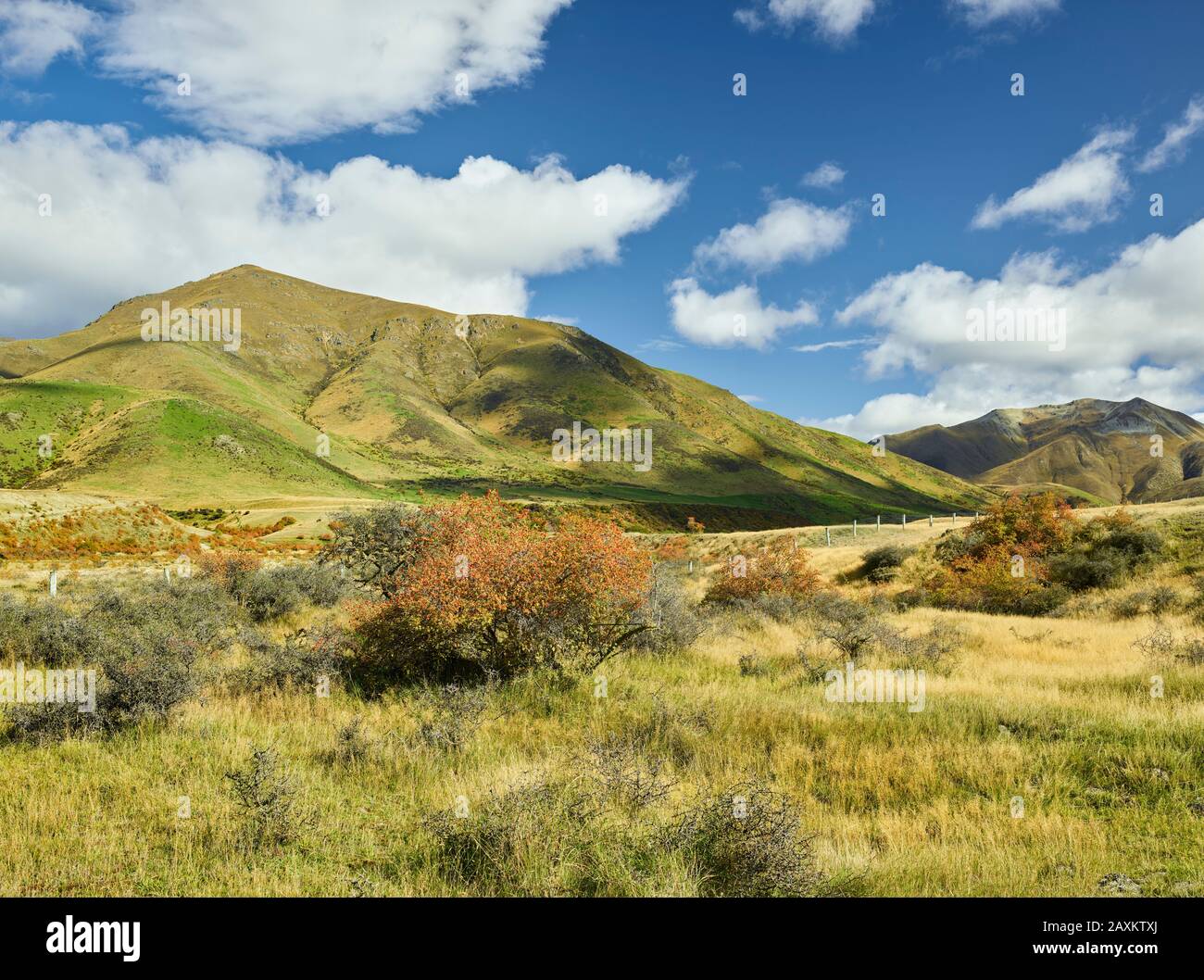 Ahuriri Valley, Barrier Range, Canterbury, South Island, New Zealand ...