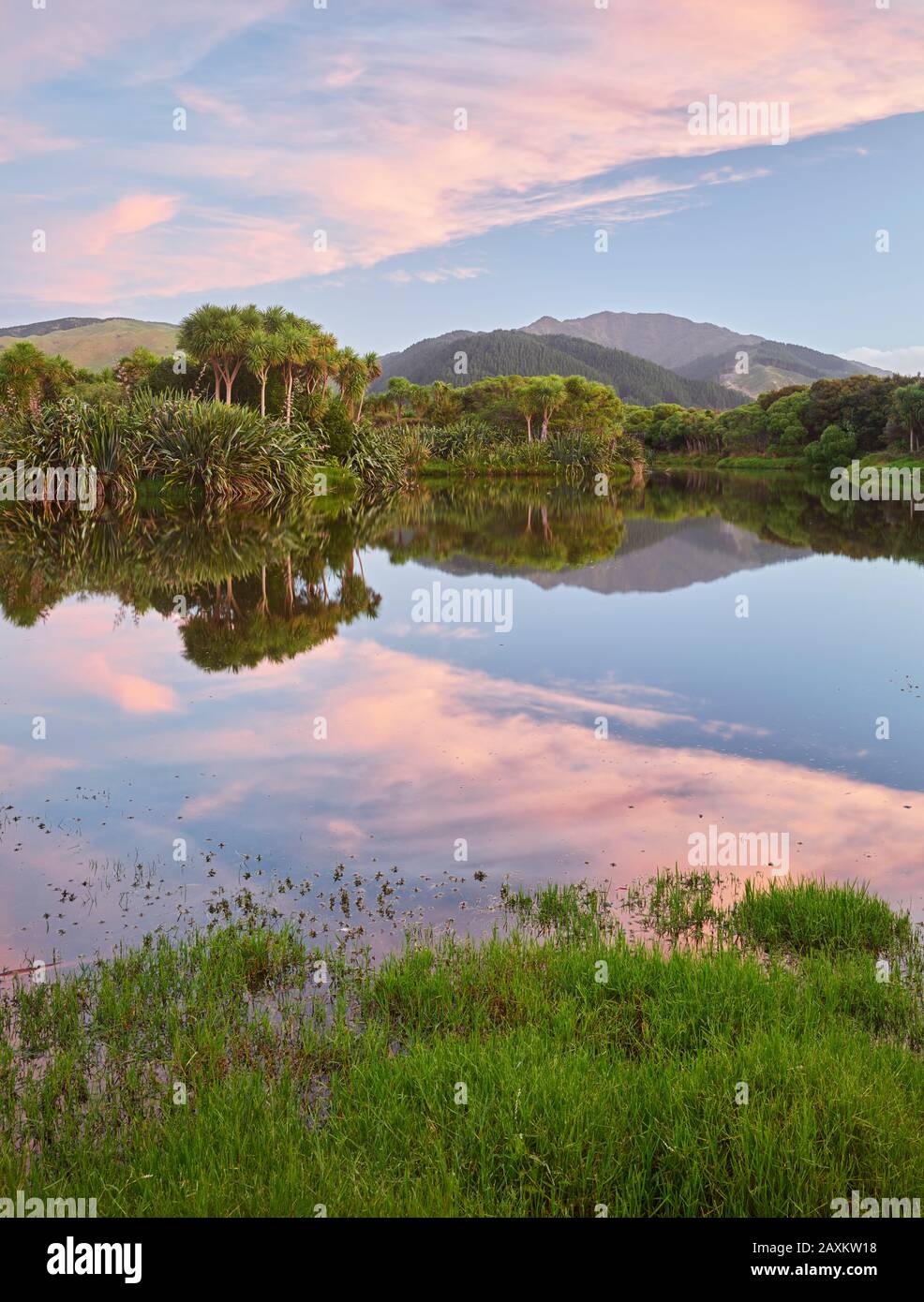 Wetland Ponds, Queen Elizabeth Park, Paraparaumu, Wellington, North ...