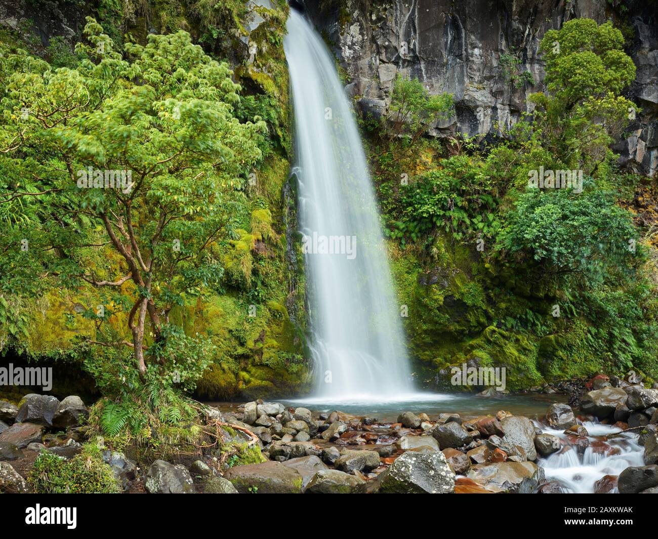 Dawson Falls, Egmont National Park, Taranaki, North Island, New Zealand ...