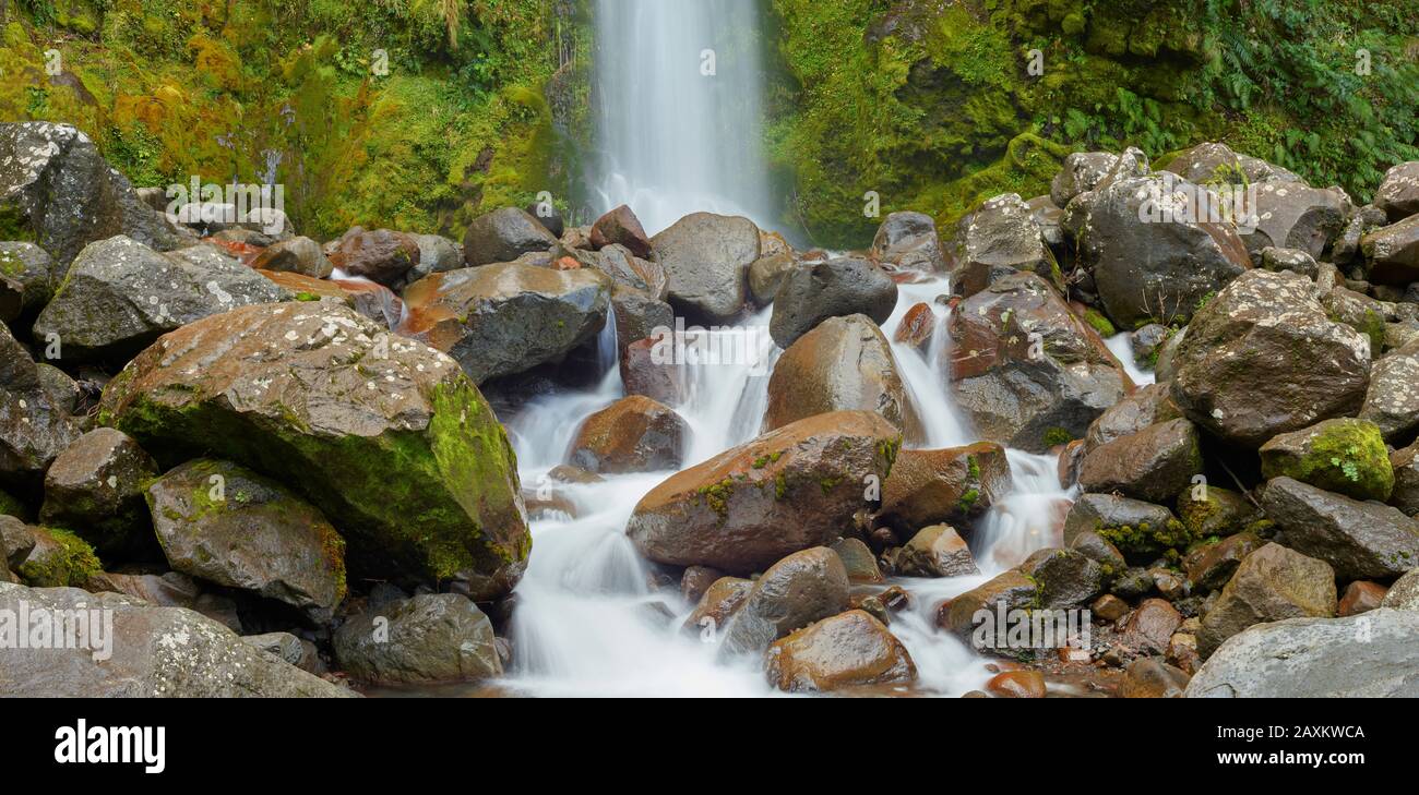 Dawson Falls, Egmont National Park, Taranaki, North Island, New Zealand ...