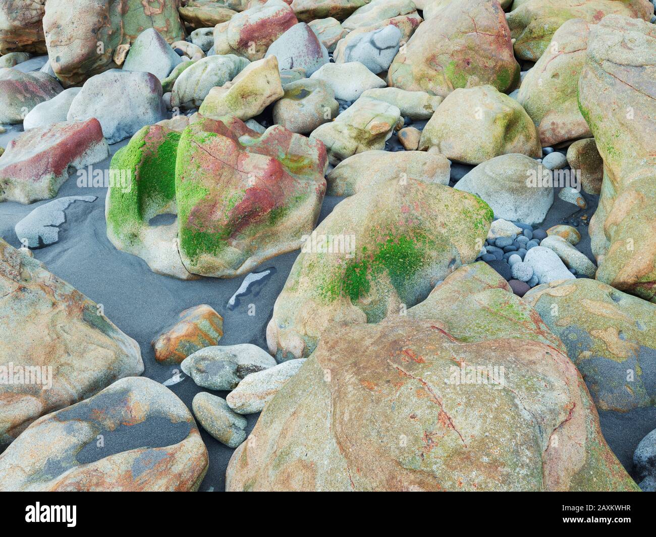 Rocks at Back Beach, Mew Plymouth, Taranaki, North Island, New Zealand ...