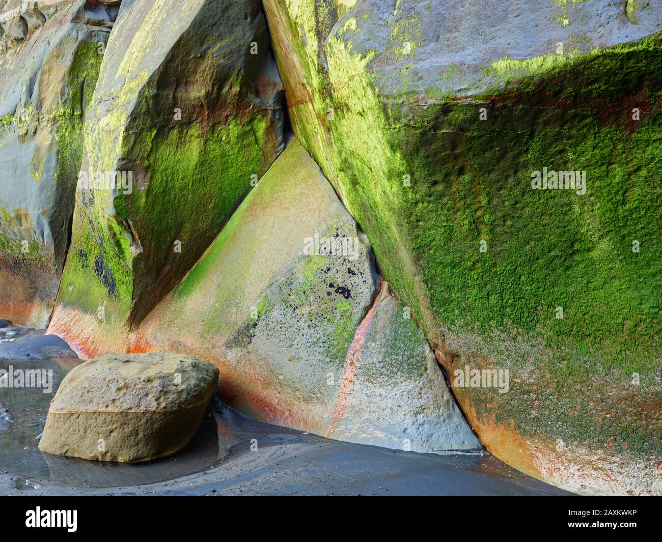 Rocks with Colorful Moss, Three Sisters, Taranaki, North Island, New ...
