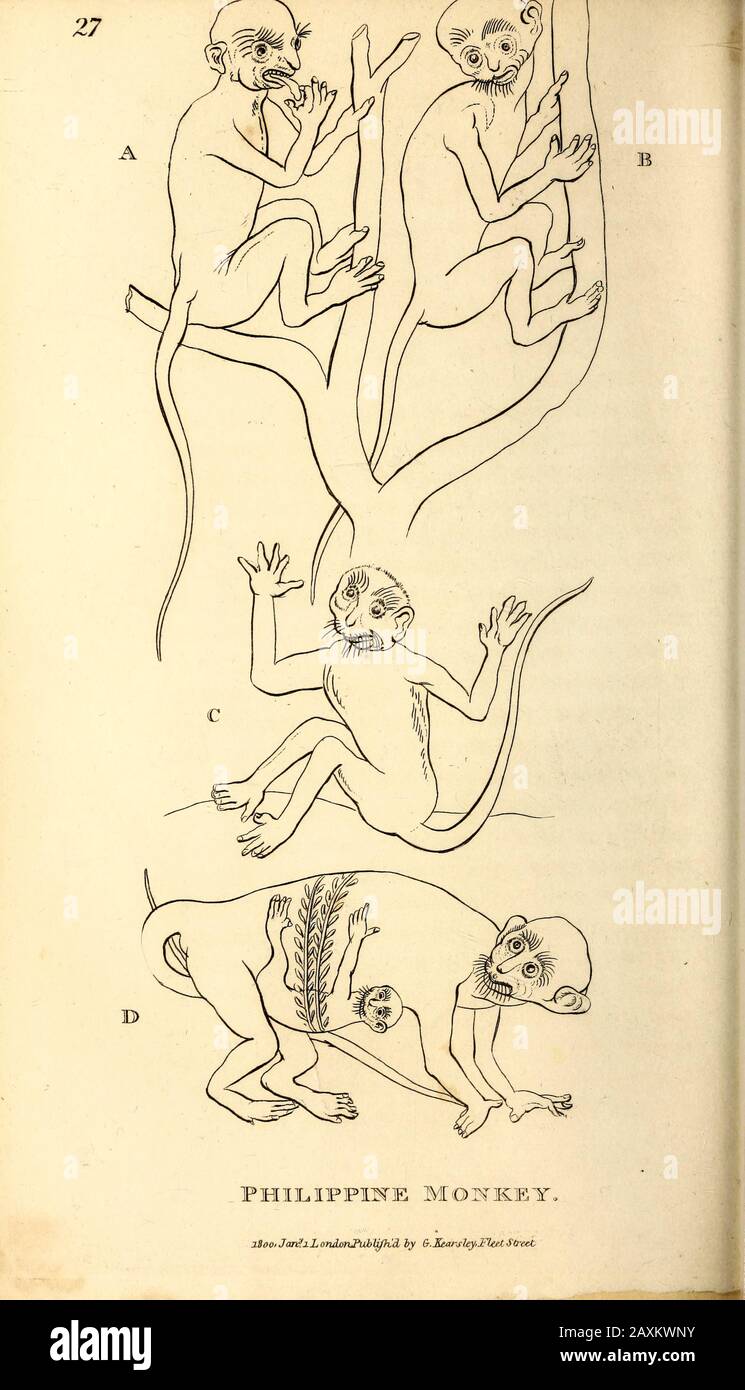 Old 19th century engrave hi-res stock photography and images - Alamy