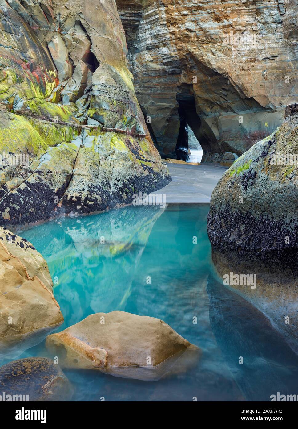 Rocks with Colorful Moss, Three Sisters, Taranaki, North Island, New ...
