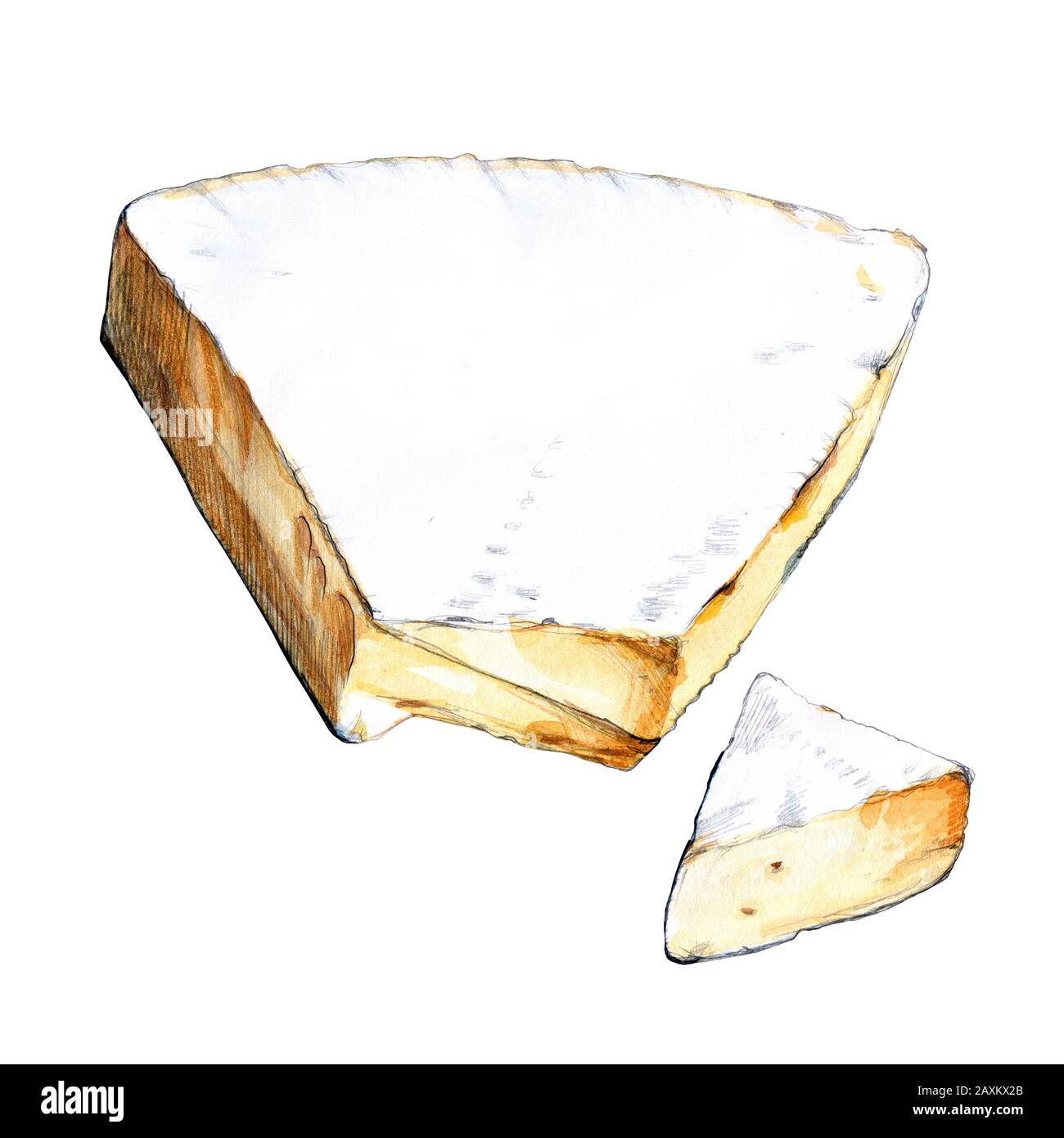 Brie drawing hi-res stock photography and images - Alamy