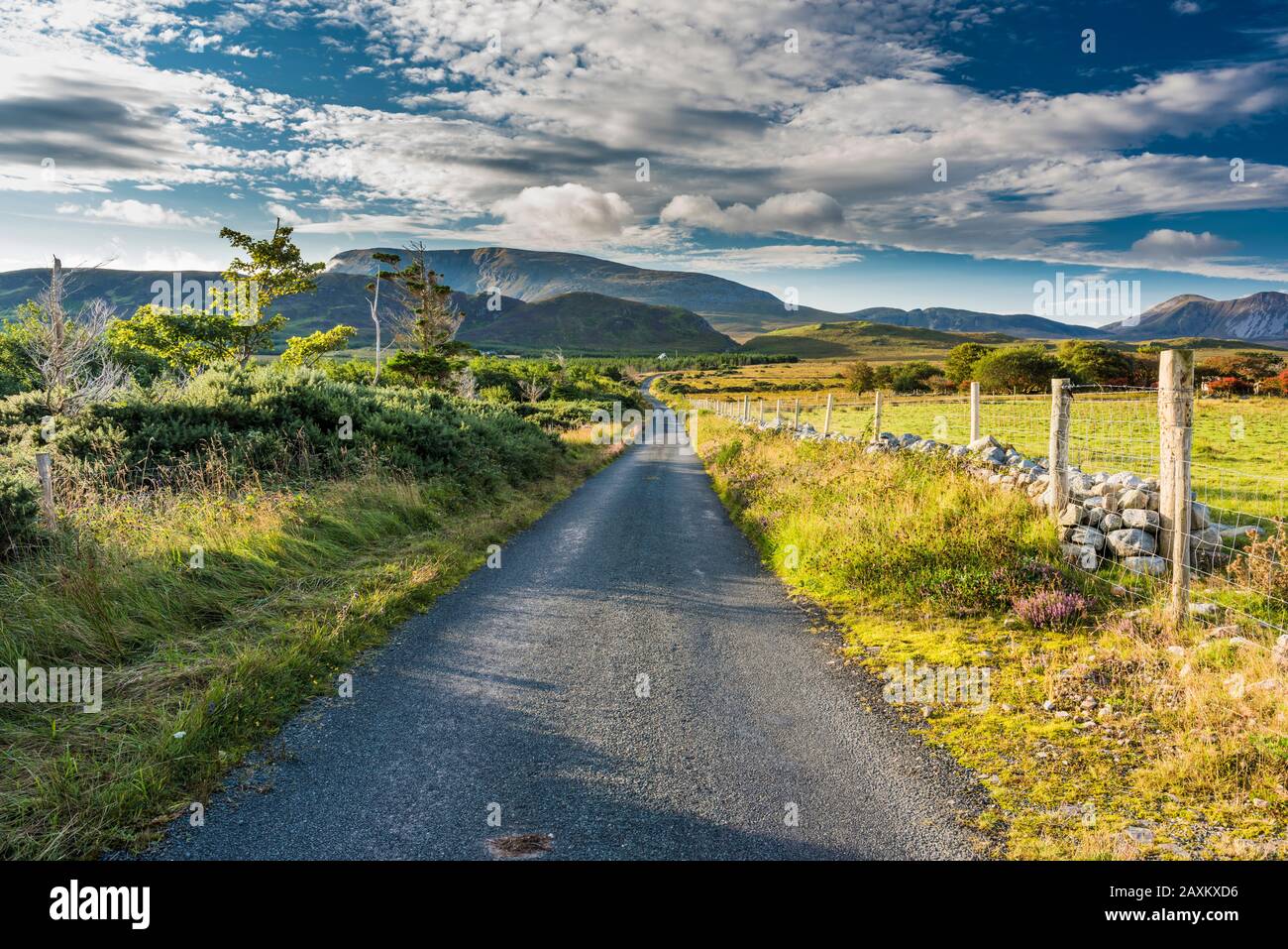 Country road through the townland of Ballyboe towards Muckish Mountain ...