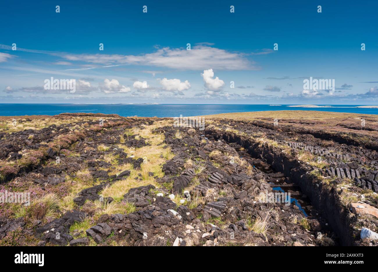 Cut bog for extraction of turf (peat) for traditional domestic fuel at ...