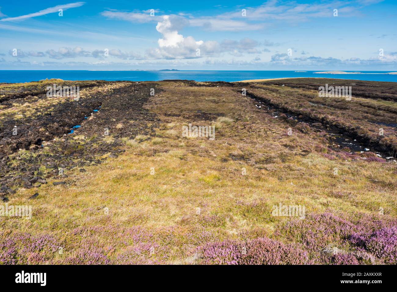 Cut bog for extraction of turf (peat) for traditional domestic fuel at ...