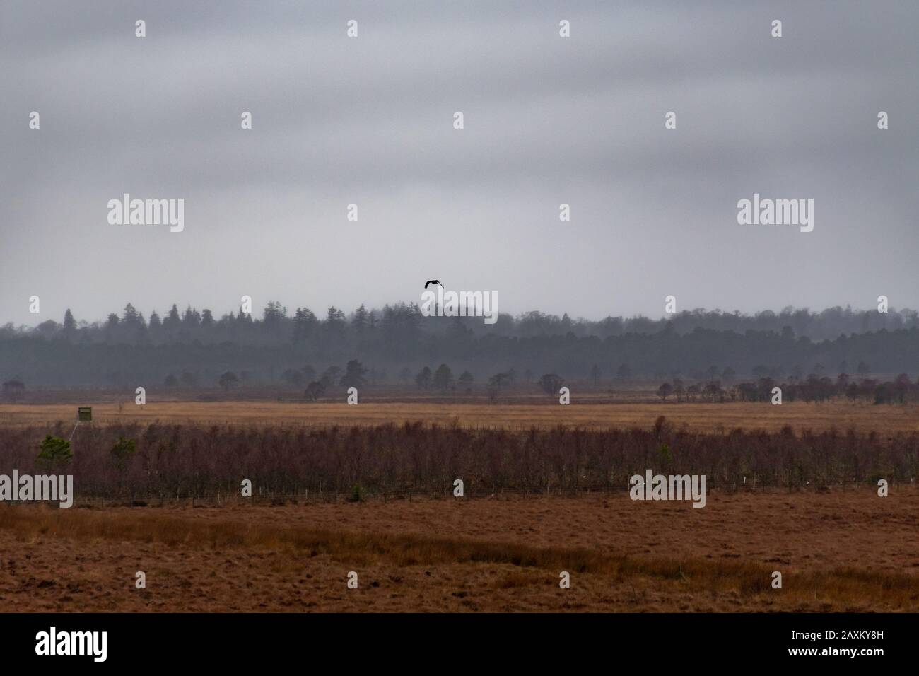 Stirling reserve hi-res stock photography and images - Alamy