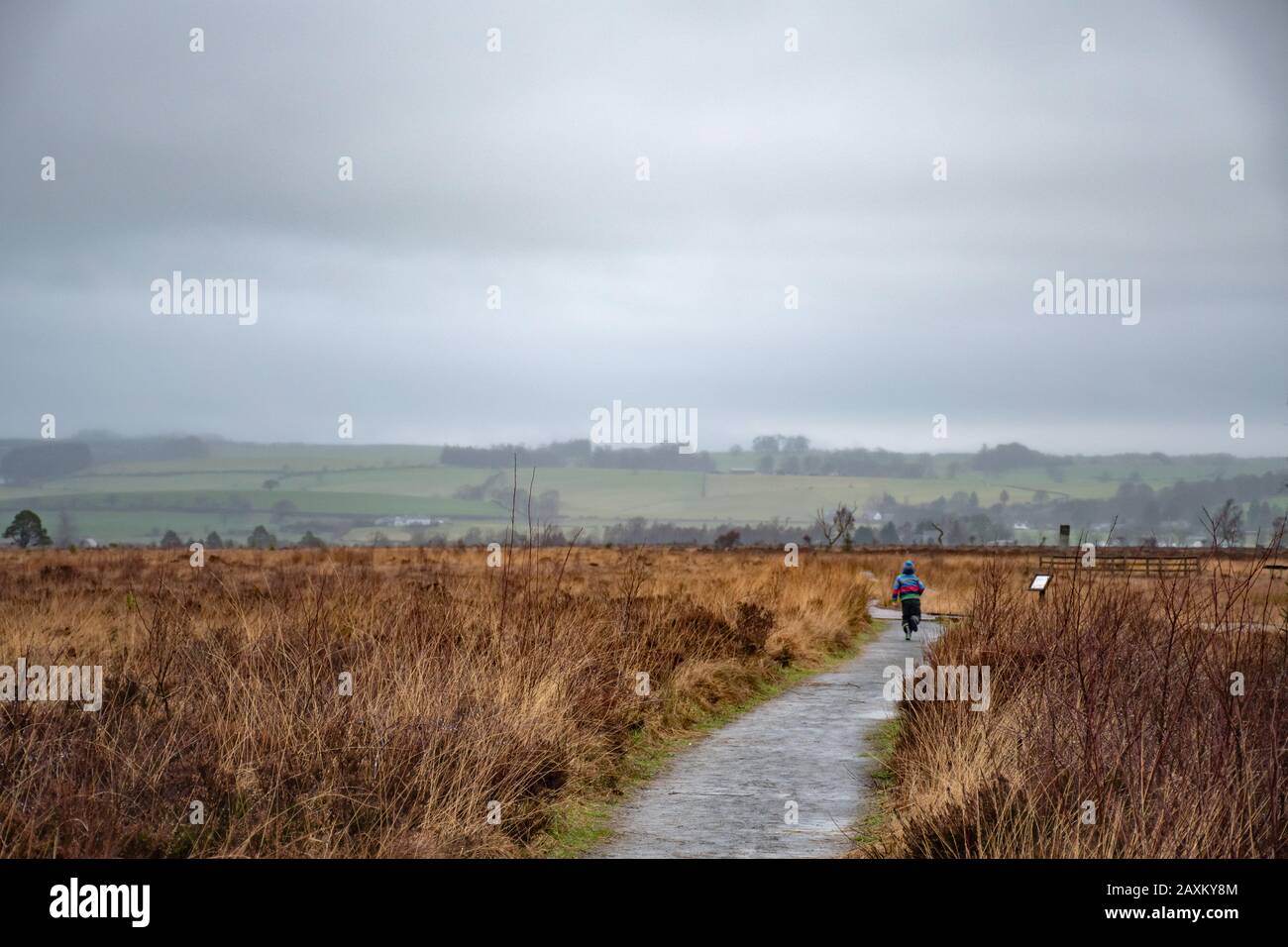 Flanders moss nature reserve hi-res stock photography and images - Alamy