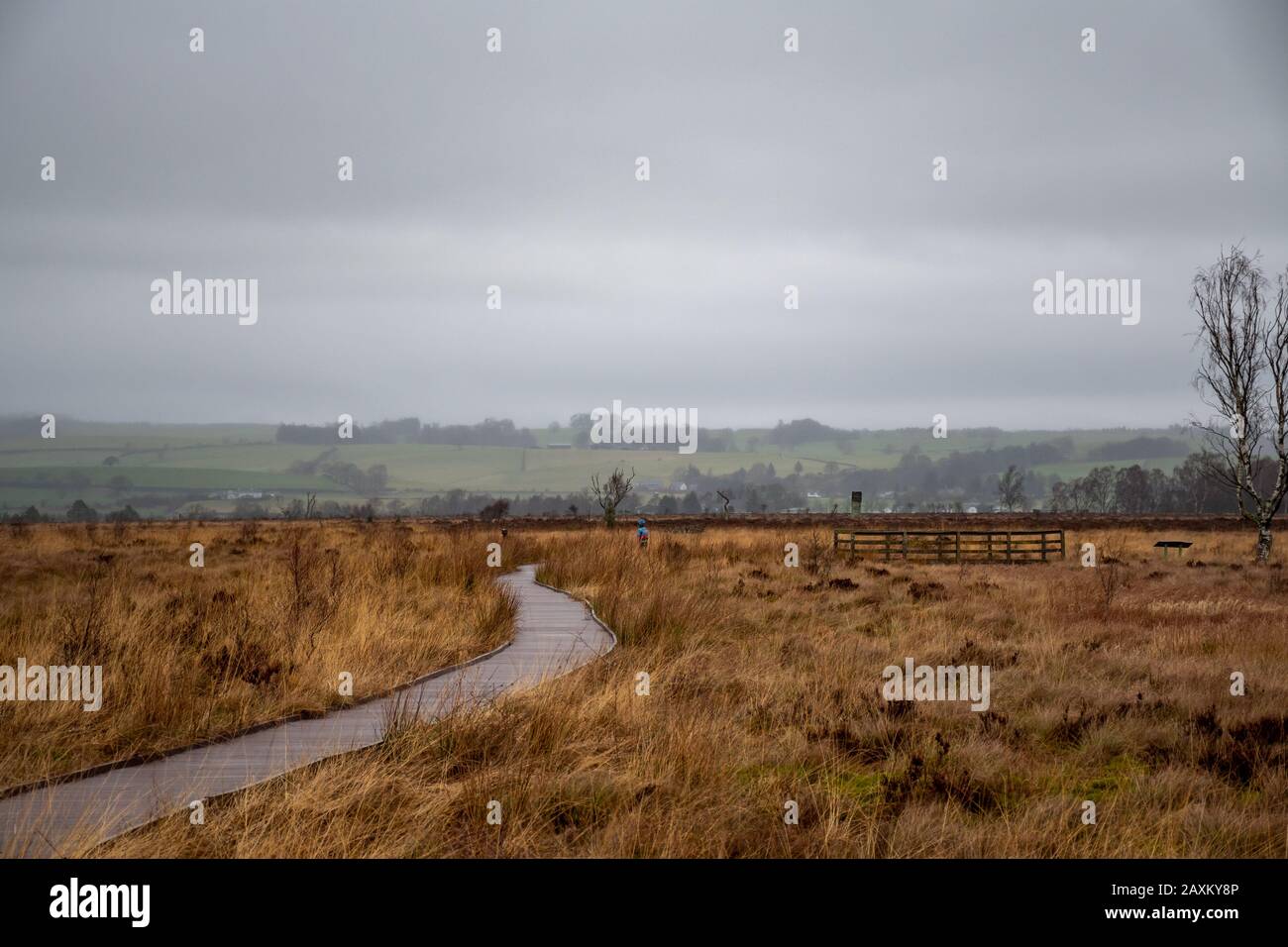 Flanders moss stirling hi-res stock photography and images - Alamy