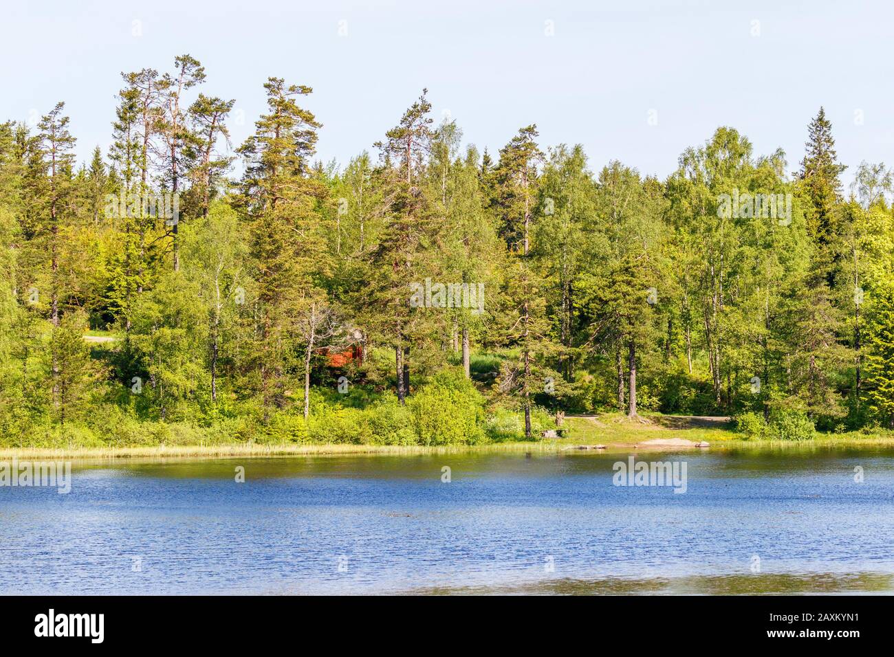 Summer landscape on lake water hi-res stock photography and images - Alamy