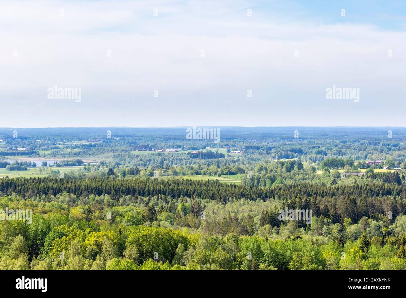 Beautiful view forest landscape hi-res stock photography and images - Alamy