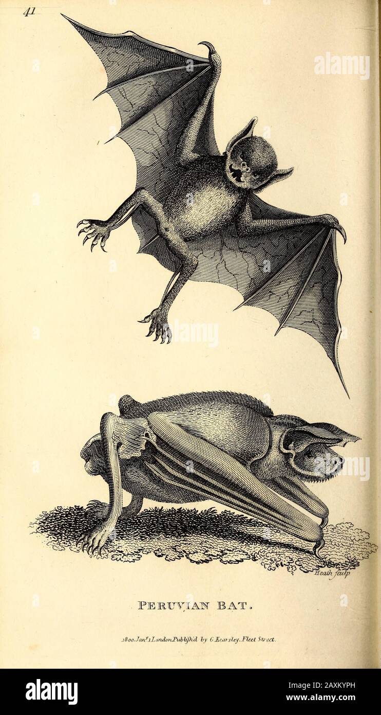 Old 19th century engrave hi-res stock photography and images - Alamy