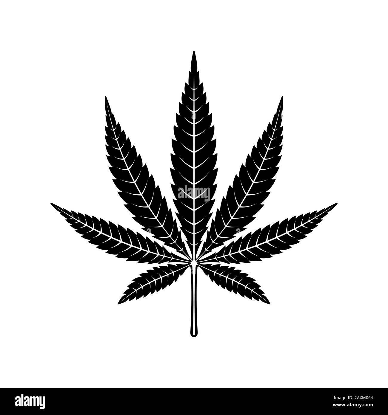 Cannabis sativa leaf Black and White Stock Photos & Images - Alamy