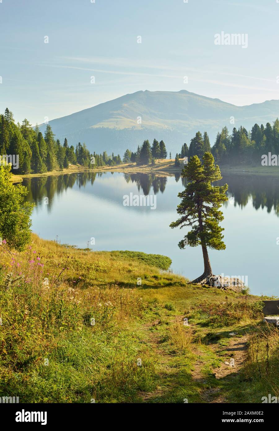 Turracher hi-res stock photography and images - Alamy