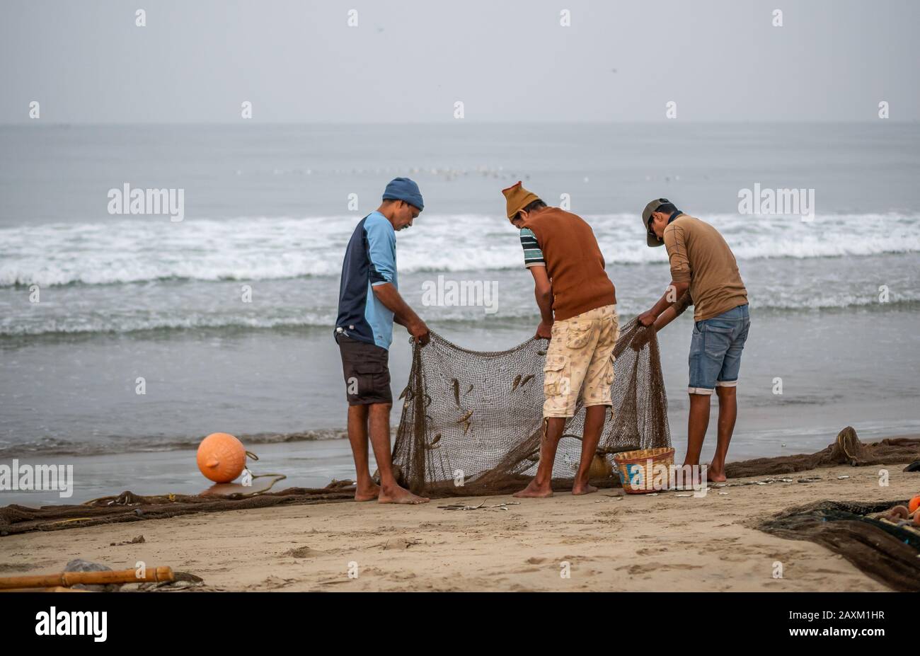 Indian fish sorting hi-res stock photography and images - Alamy