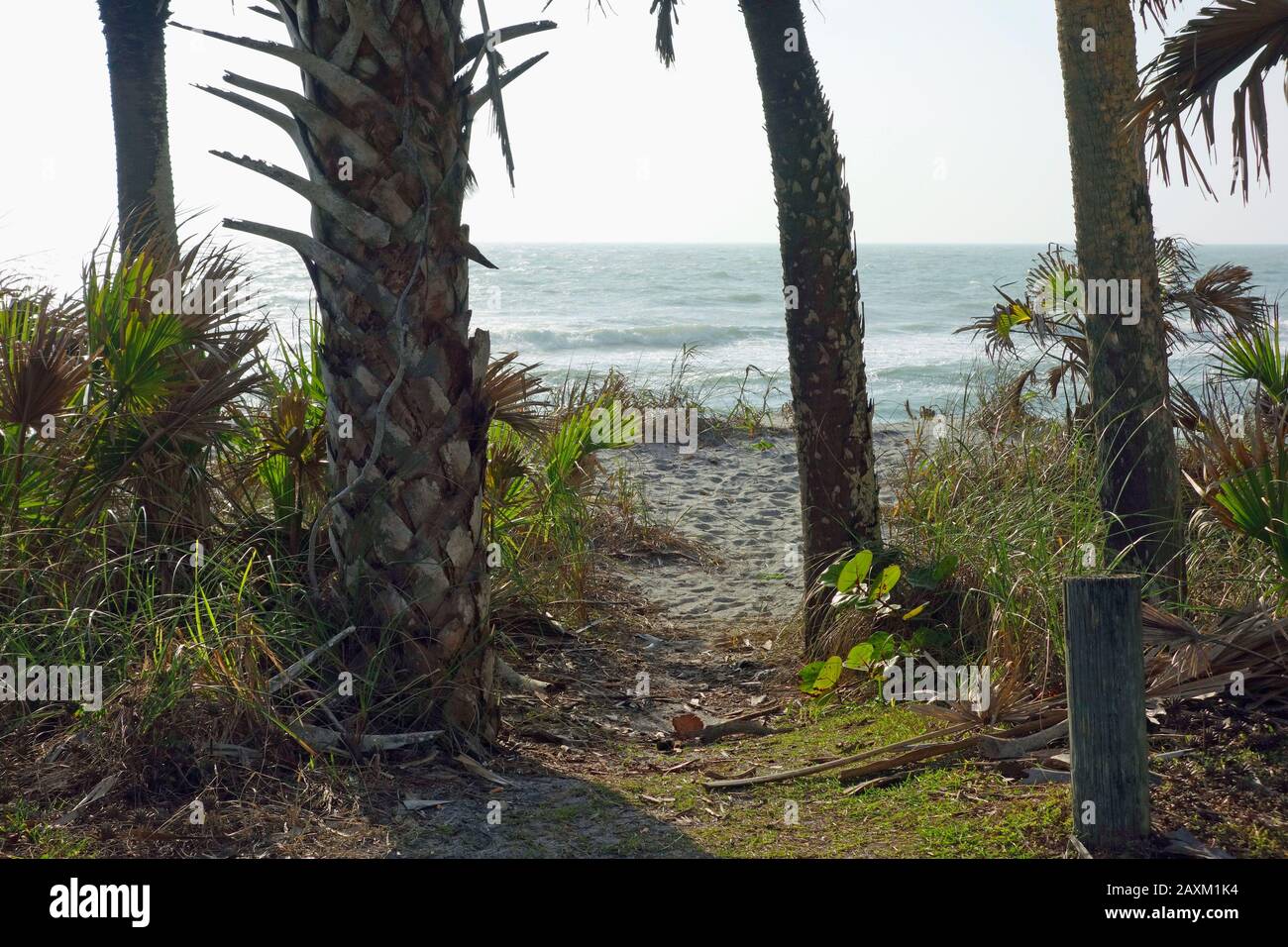 Southwest florida beaches hi-res stock photography and images - Alamy