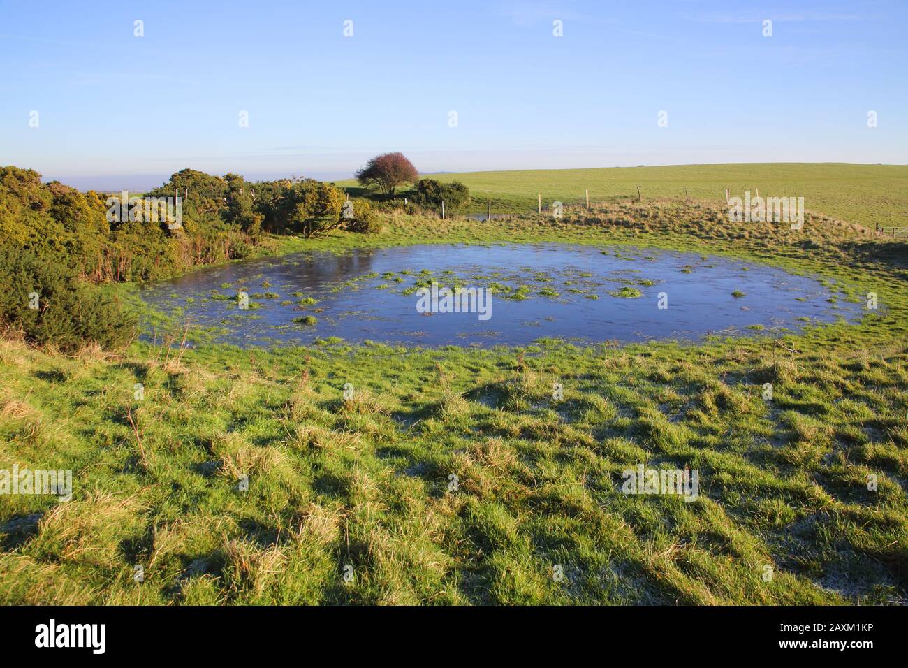dew pond on the south downs way near falmer in west sussex Stock Photo ...